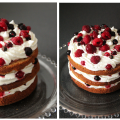Rêve de gourmandises » Entremets très simple aux fruits rouges