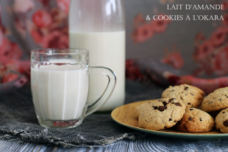 Rêve de gourmandises » Lait d’amande (ou noisette, cacahuète, avoine ...